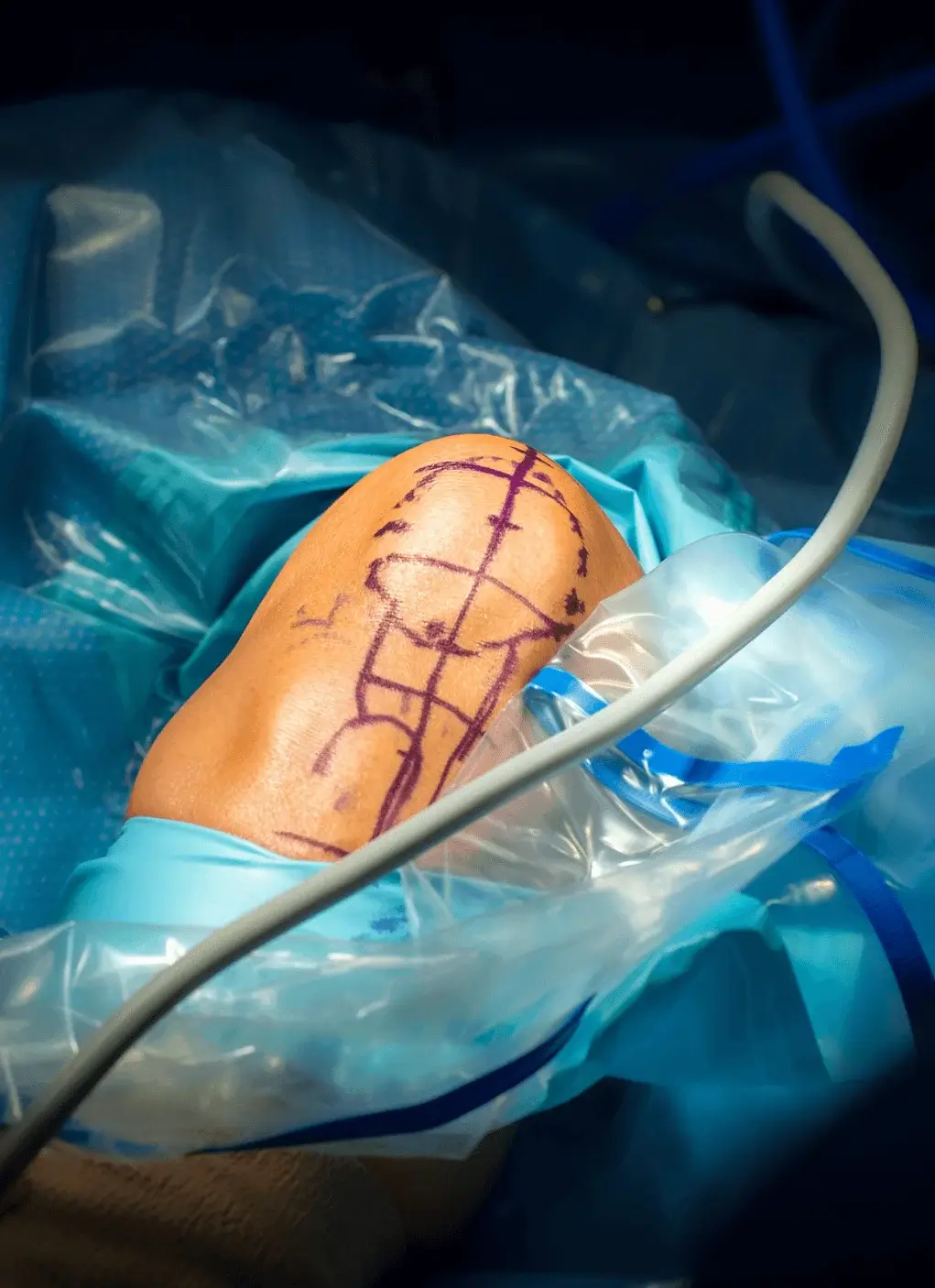 Medu - La mejor plataforma de ciencias de la salud.